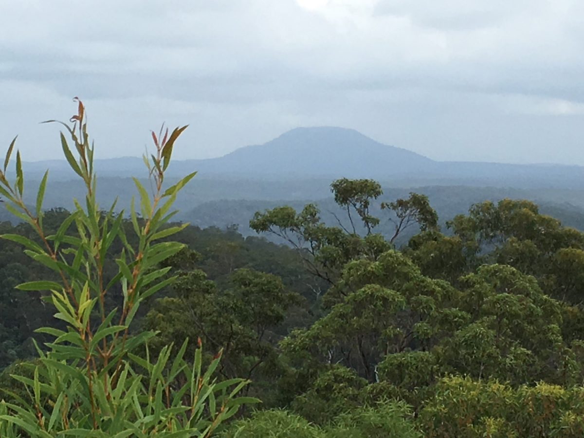 Mount Yengo | Somewhere Unique